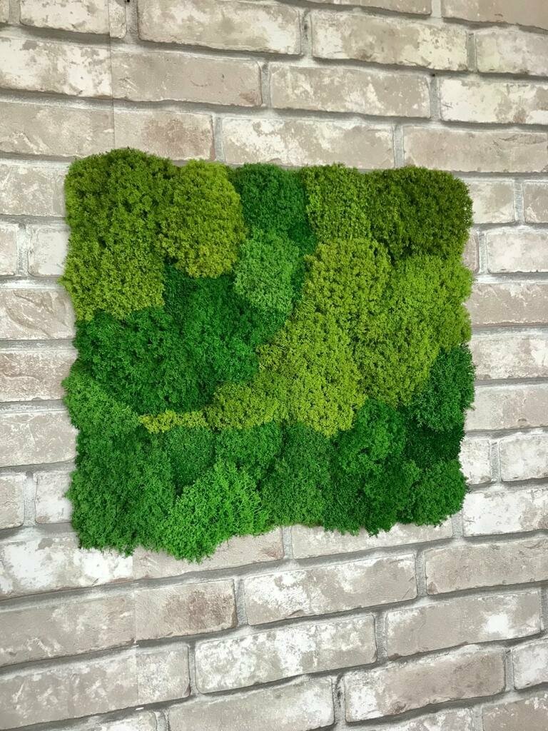 Панно из королевского ягеля 50*55 см