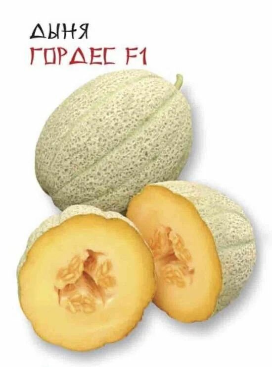 Коллекционные семена дыни Гордес F1 (тип Канталупа)