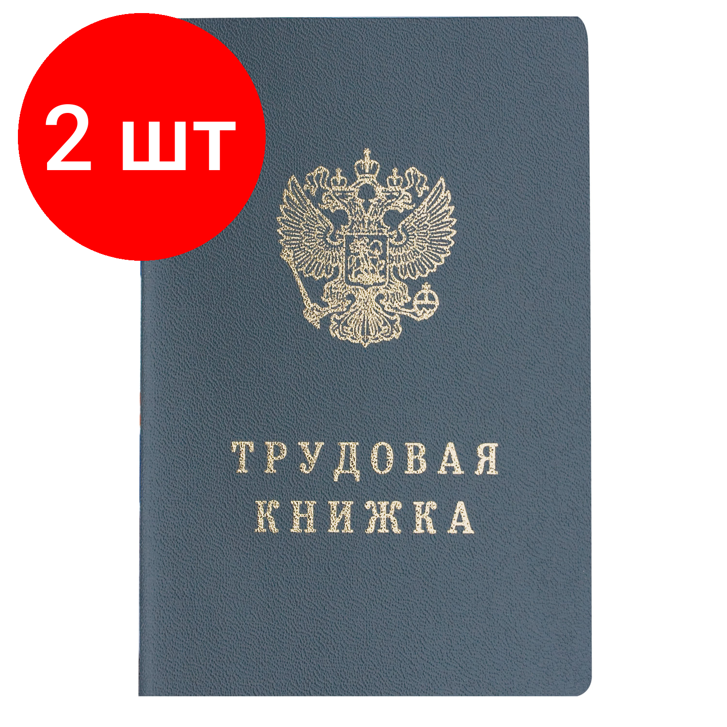Комплект 2 шт, Бланк документа "Трудовая книжка", 88х125 мм, гознак