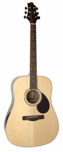 Акустическая гитара GREG BENNETT GD100RS/N