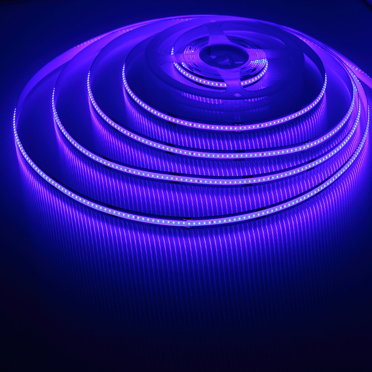 Светодиодная лента COB, 336 chip/m, blue, 12V, IP20, A233