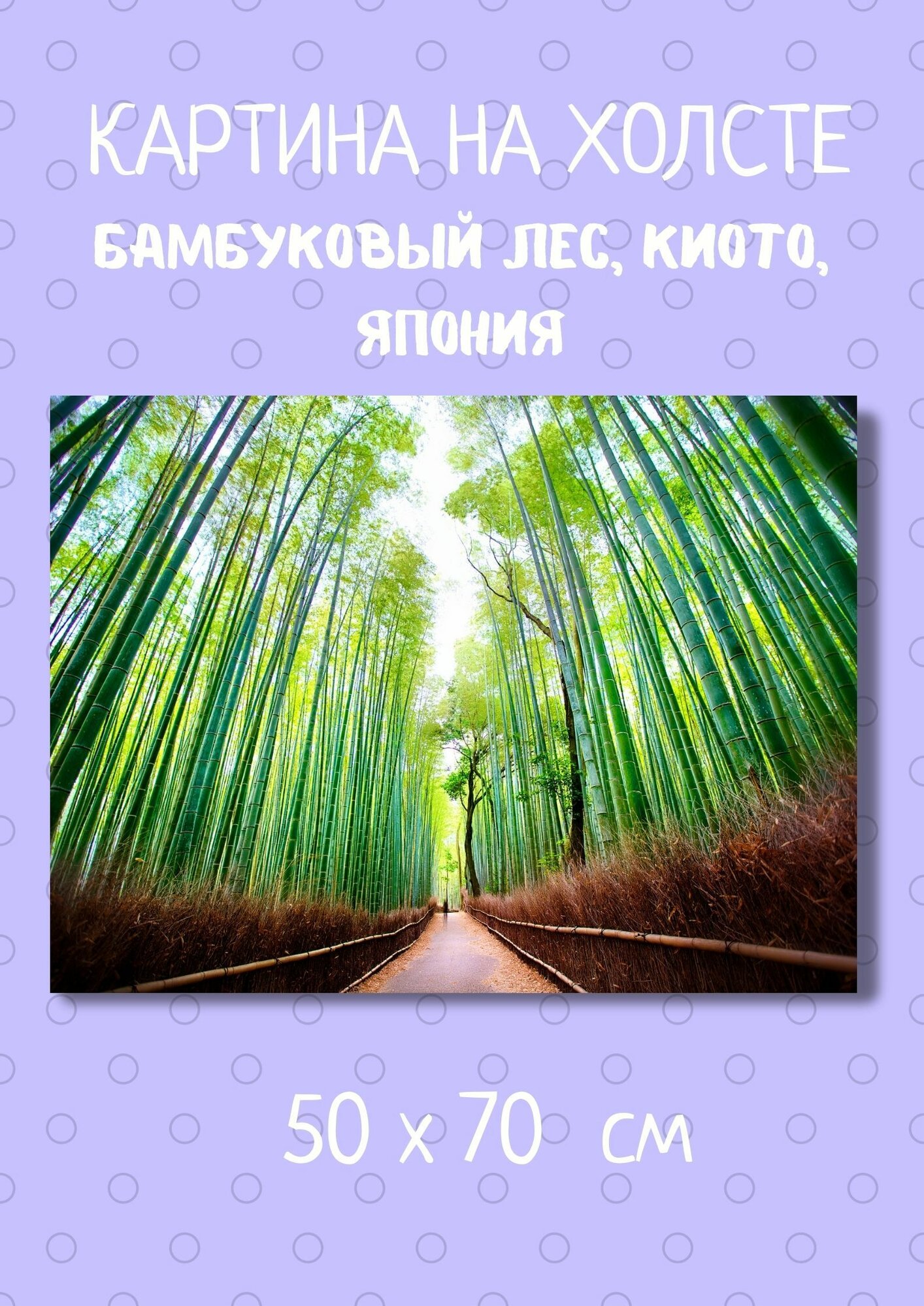 Фотокартина 50х70 с известным лесным массивом "Бамбуковый лес, Киото, Япония"