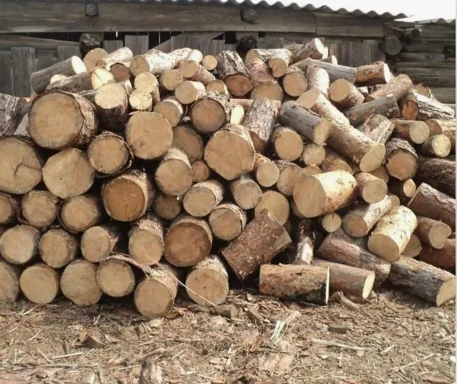 Чурочка лиственницы 25 см длина, 30 см диаметр Свежая заготовка