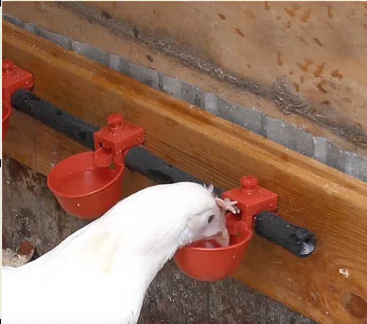 Чашечная поилка для птиц 10шт. Автопоилка для кур несушек, цыплят бройлеров, уток, гусей, утят