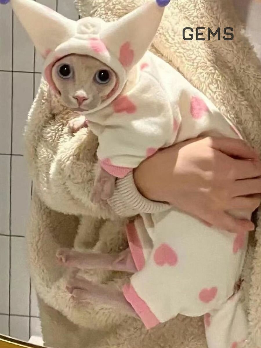 Одежда для животных — фото 1