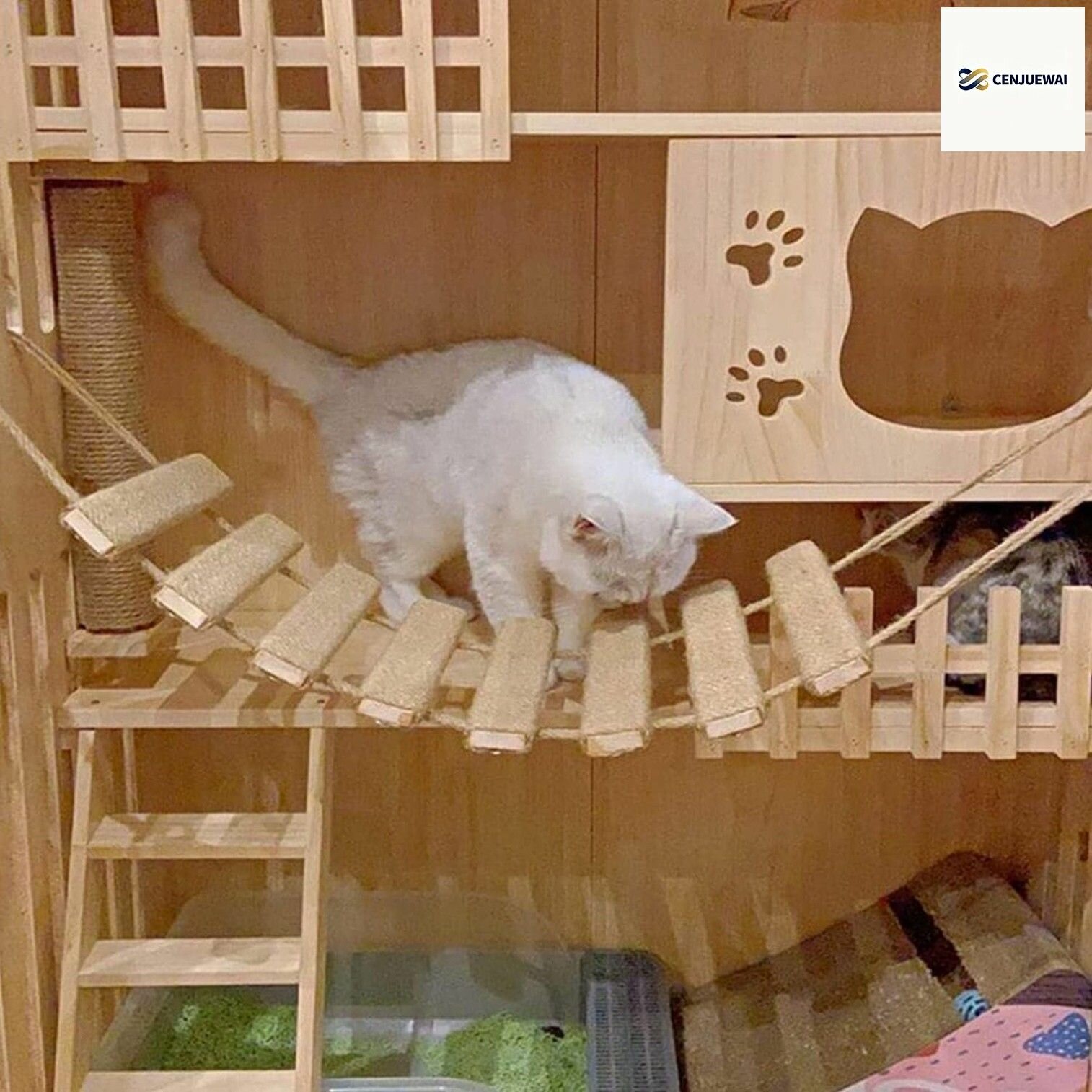 Эксклюзивный пандус для питомцев