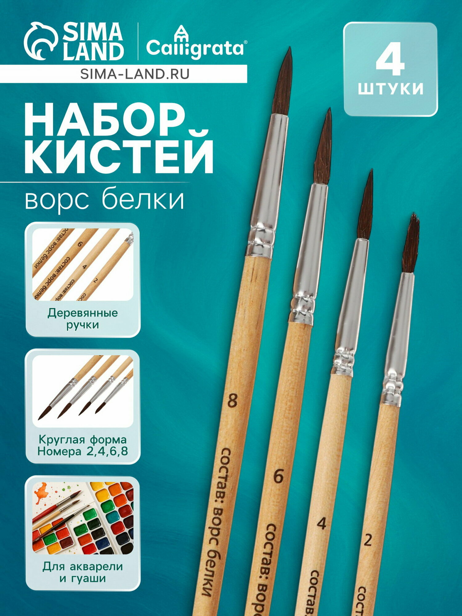 Набор кистей для рисования, белка, 4 штуки: № 2, 4, 6, 8, круглые, деревянная ручка, международный размер