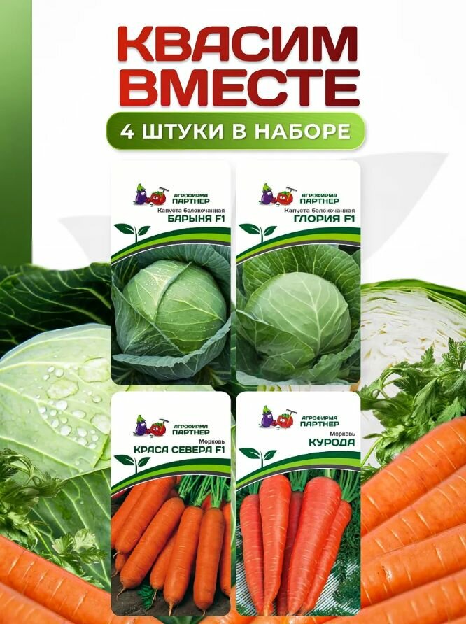 Семена набор: Квасим вместе - Капуста Барыня, Глория, Морковь Курода, Краса севера
