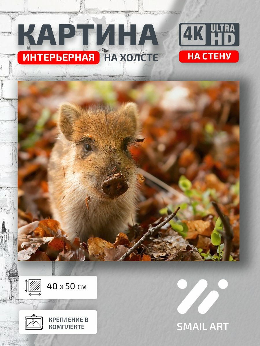 Картина на холсте интерьерная 40 на 50 на стену Кабанчик Mood для офиса атмосфера интерьер