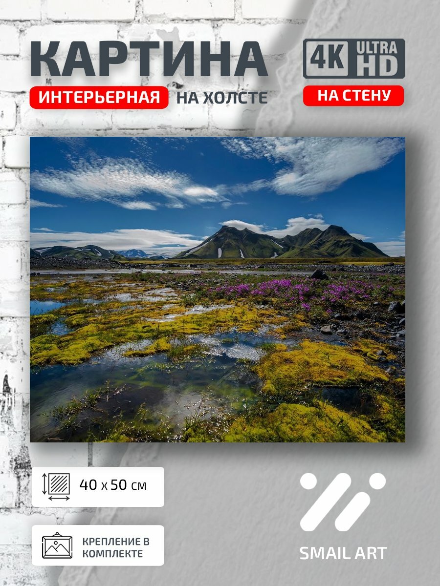 Картина на холсте интерьерная 40 на 50 на стену Степь Landscape для кабинета пейзаж декор