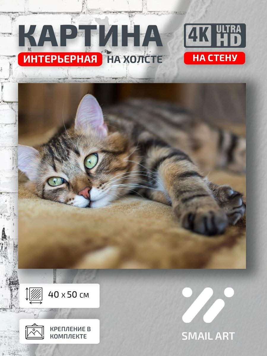 Картина на холсте интерьерная 40 на 50 на стену Кот Landscape для кабинета пейзаж интерьер