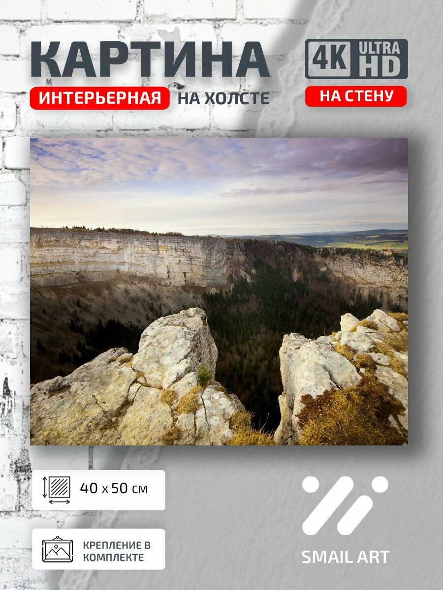 Картина на холсте интерьерная 40 на 50 на стену Деревья Landscape для офиса пейзаж интерьер