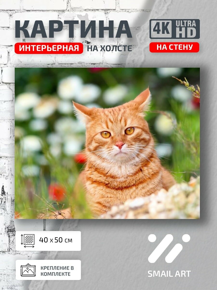 Картина на холсте интерьерная 40 на 50 на стену Рыжий кот для спальни атмосфера