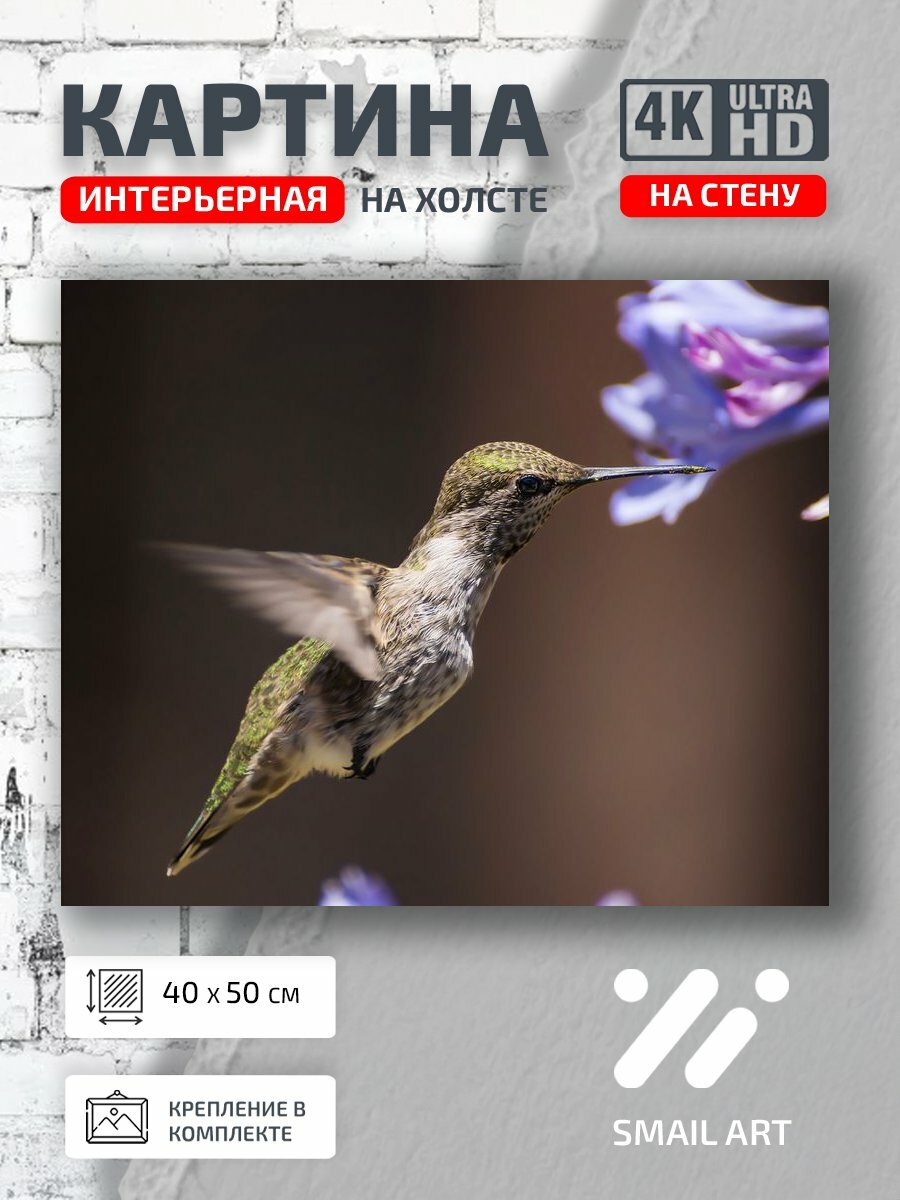 Картина на холсте интерьерная 40 на 50 на стену Колибри Mood для студии атмосфера интерьер