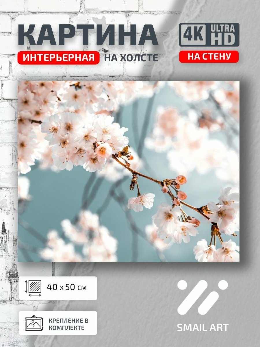 Картина на холсте интерьерная 40 на 50 на стену Цветы Mood для студии атмосфера интерьер