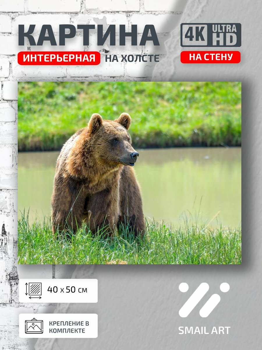 Картина на холсте интерьерная 40 на 50 на стену Бурый Landscape для кафе пейзаж интерьер