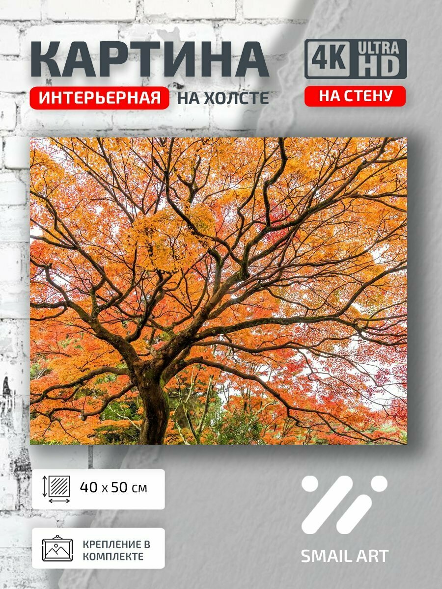 Картина на холсте интерьерная 40 на 50 на стену Ветви Landscape для офиса пейзаж интерьер