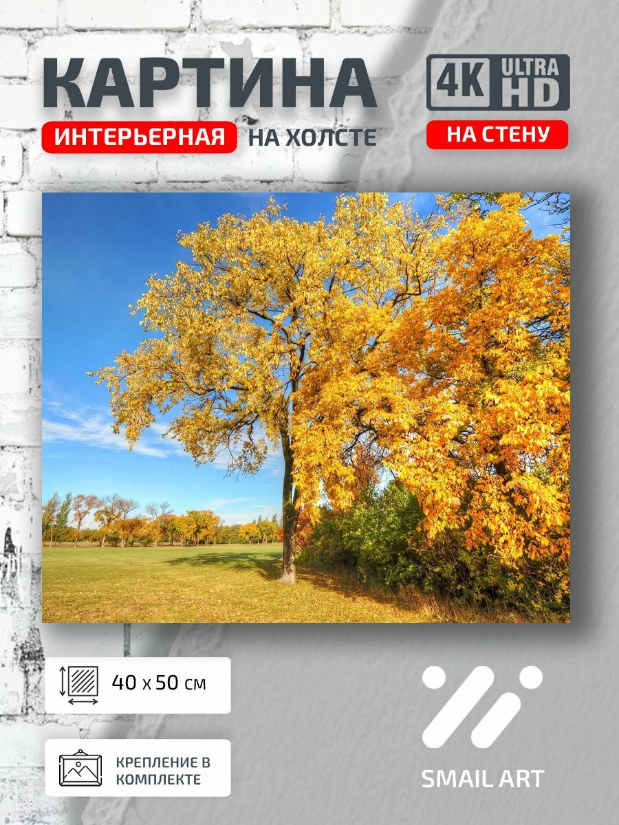 Картина на холсте интерьерная 40 на 50 на стену Ветви Landscape для кабинета пейзаж декор
