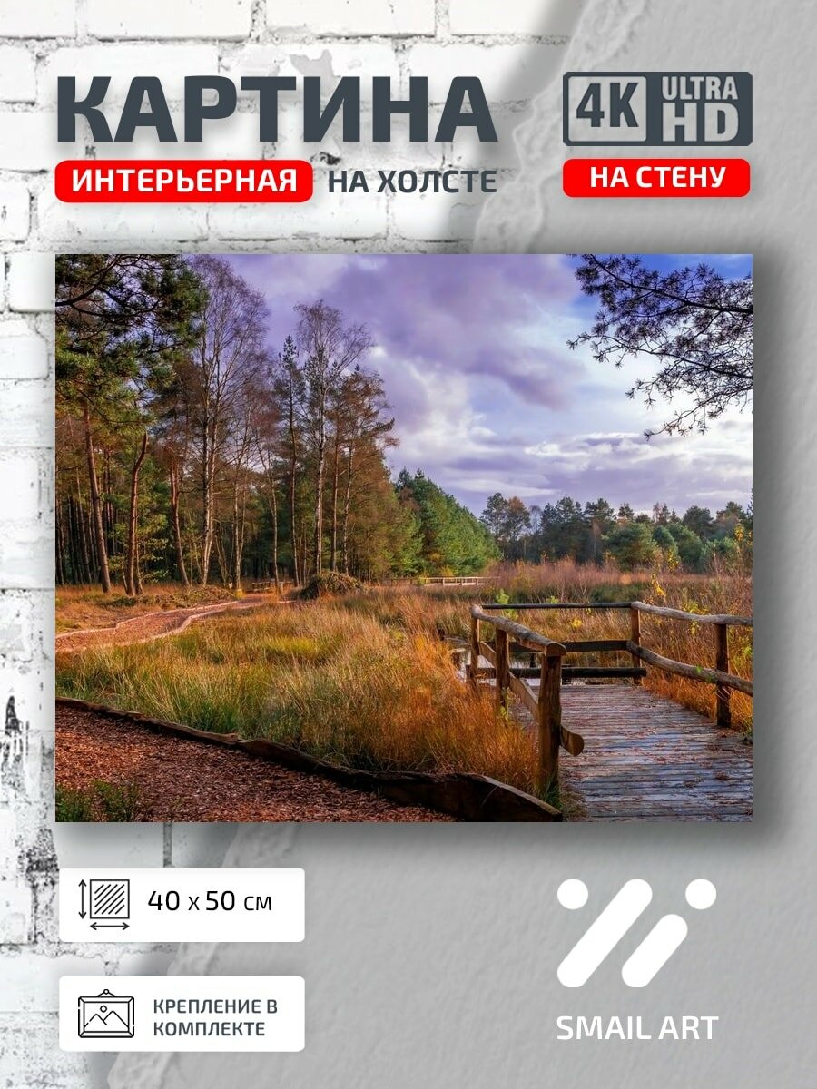 Картина на холсте интерьерная 40 на 50 на стену лес речка для офиса пейзаж