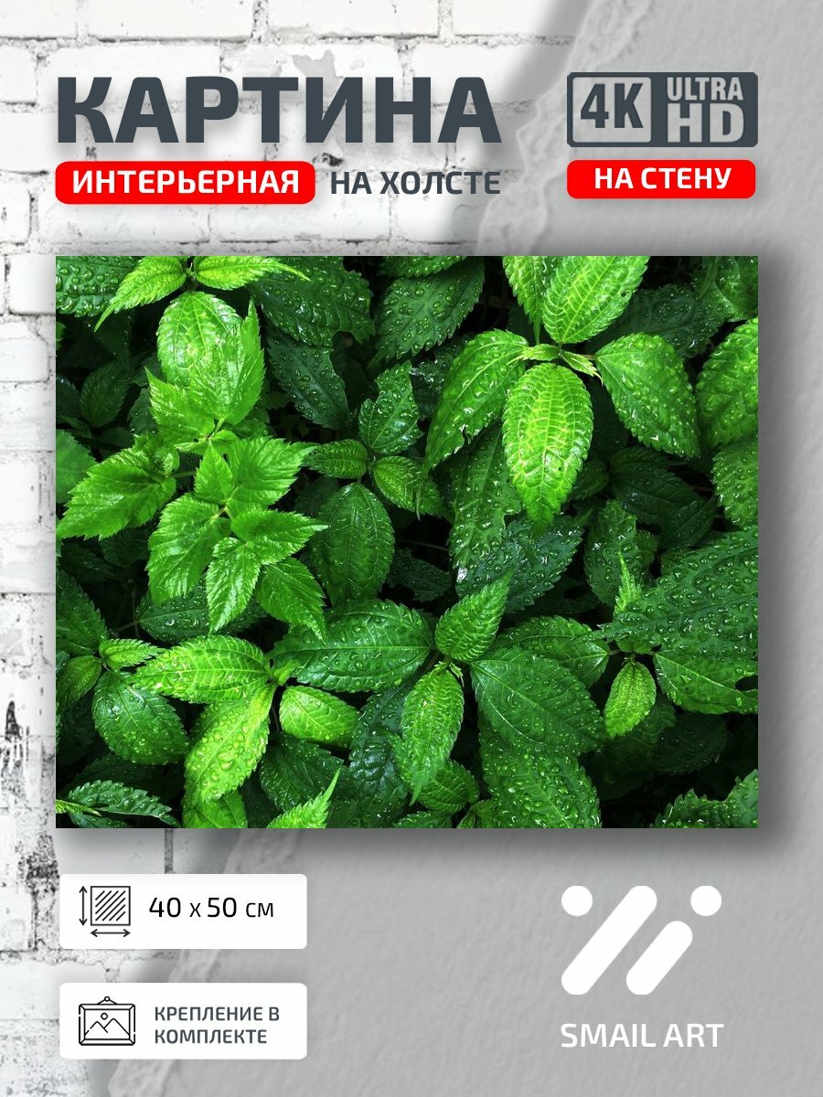 Картина на холсте интерьерная 40 на 50 на стену Капли Landscape для гостиной пейзаж декор