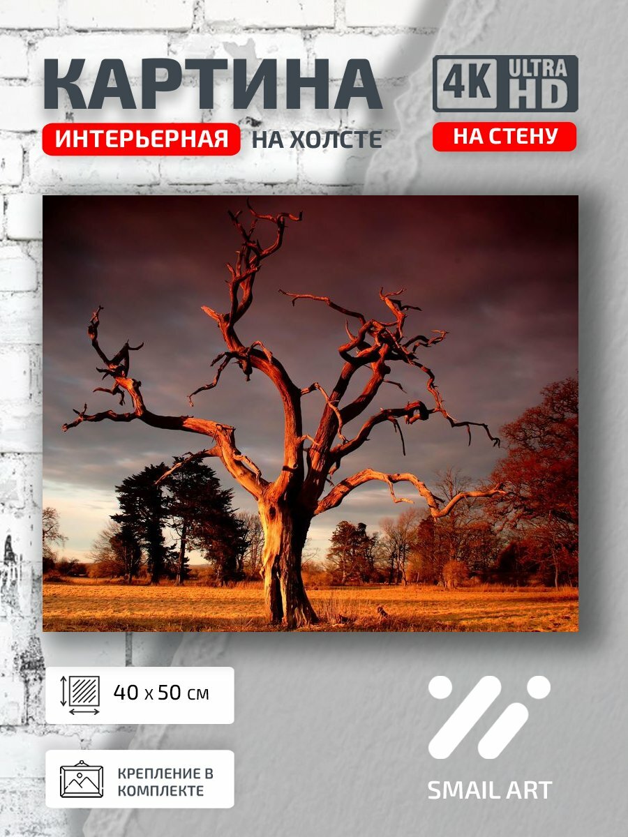 Картина на холсте интерьерная 40 на 50 на стену Дерево Landscape для кафе пейзаж интерьер