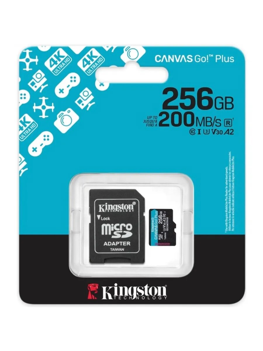 Карта памяти 256Gb microSDXC 256Gb Canvas Go Plus Gen4