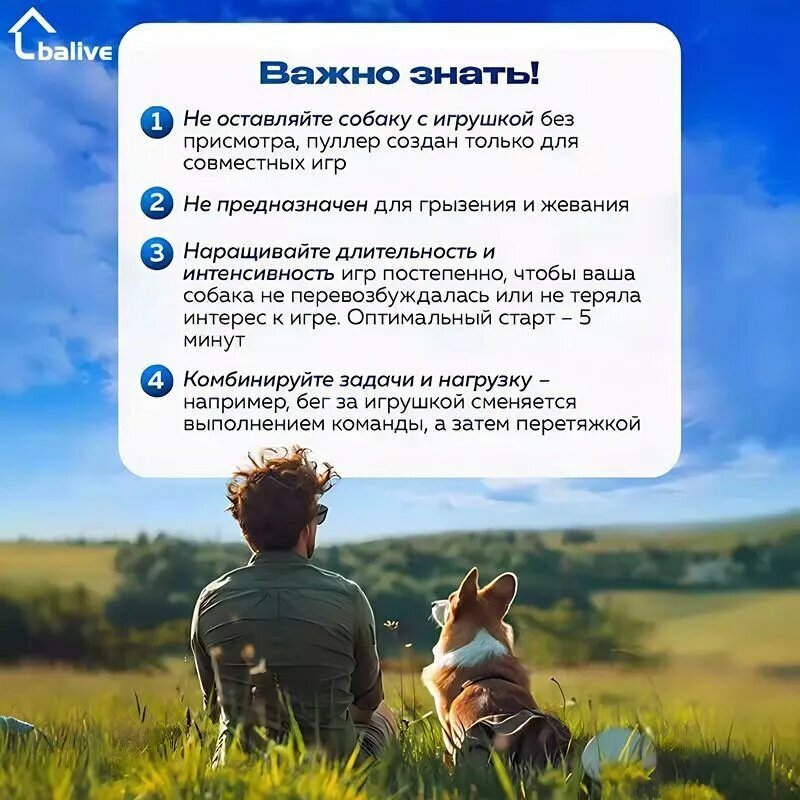 Игрушка для собак пуллер кольцо для средних и крупных пород, легкое и прочное, диаметр 30см