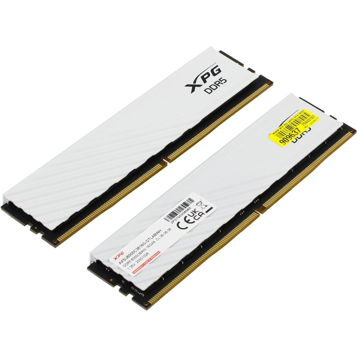 Adata AX5U6000C3616G-DTLABWH