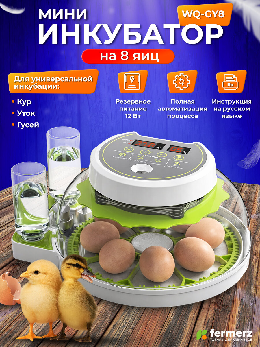 Мини инкубатор на 8 куриных яиц WQ-GY8. Автоматический инкубатор с овоскопом, автоматический переворот