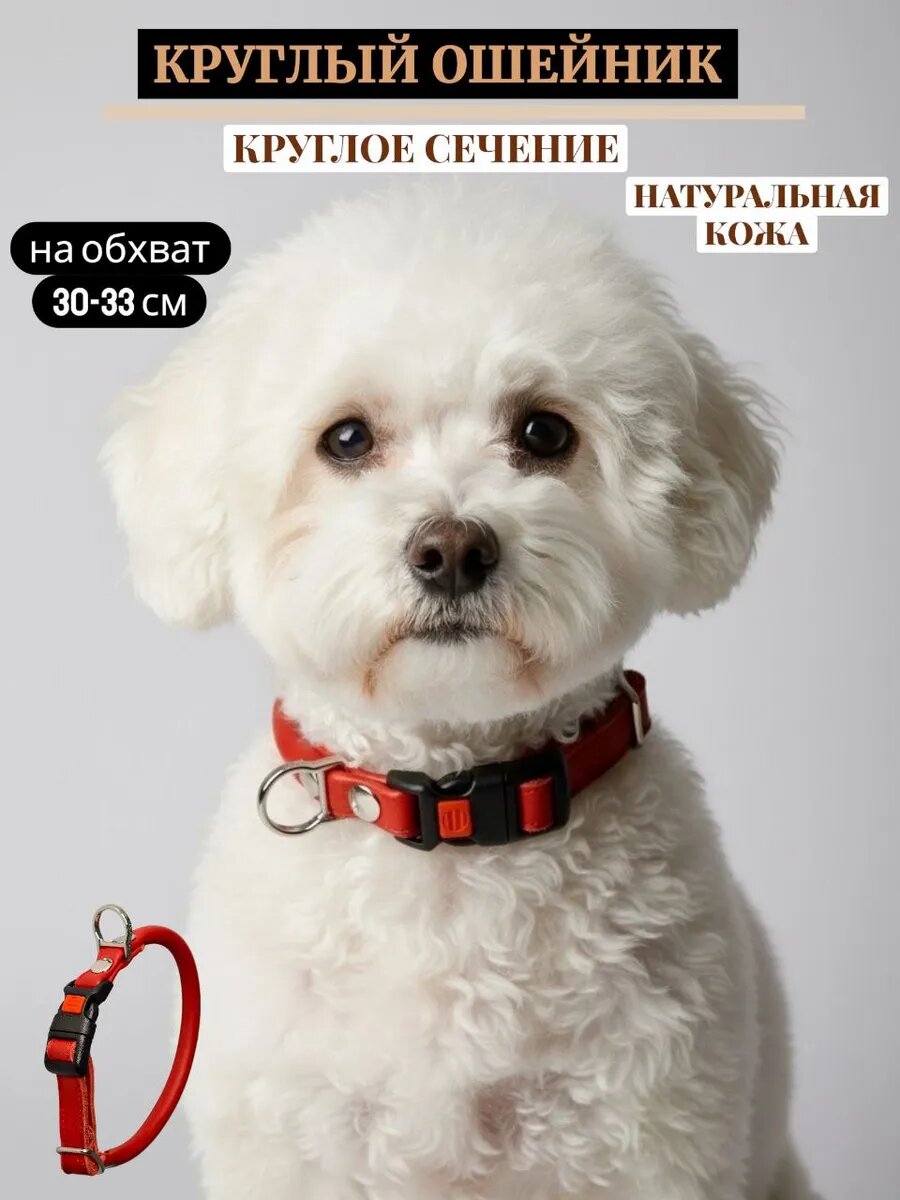 Dogbond Ошейник для шпица круглый кожаный 30-33 см