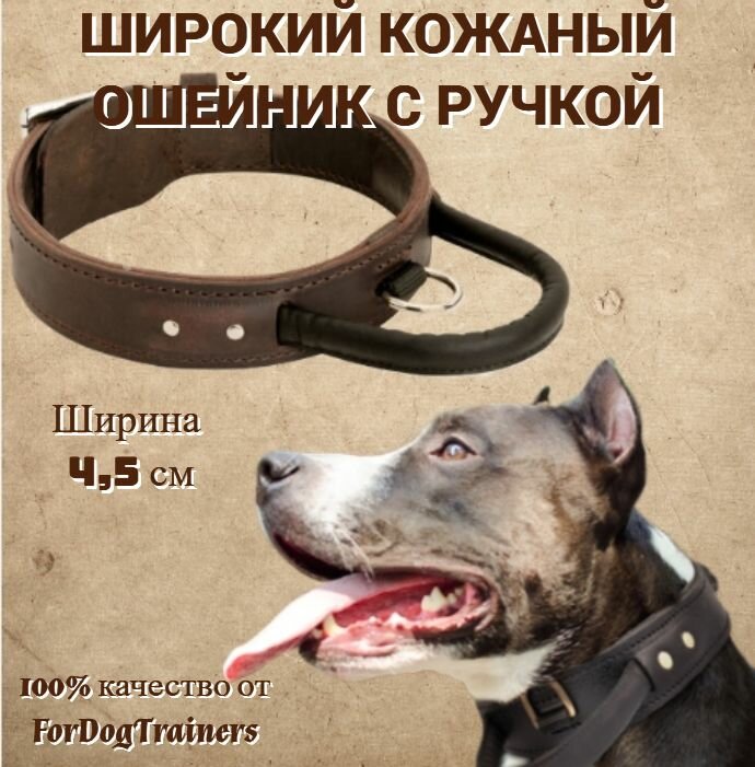 Широкий кожаный ошейник для собак с ручкой, двухслойный. Размер 45.
