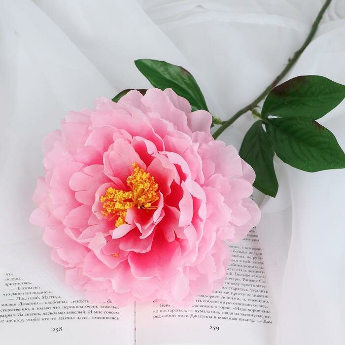 Цветы искусственные 'Пион бархатный' 15 55 см, розовый