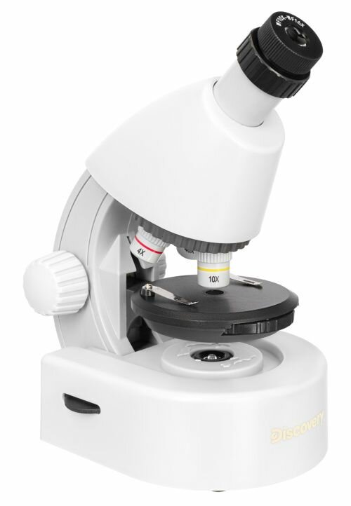 Микроскоп Levenhuk Discovery Micro Polar с книгой