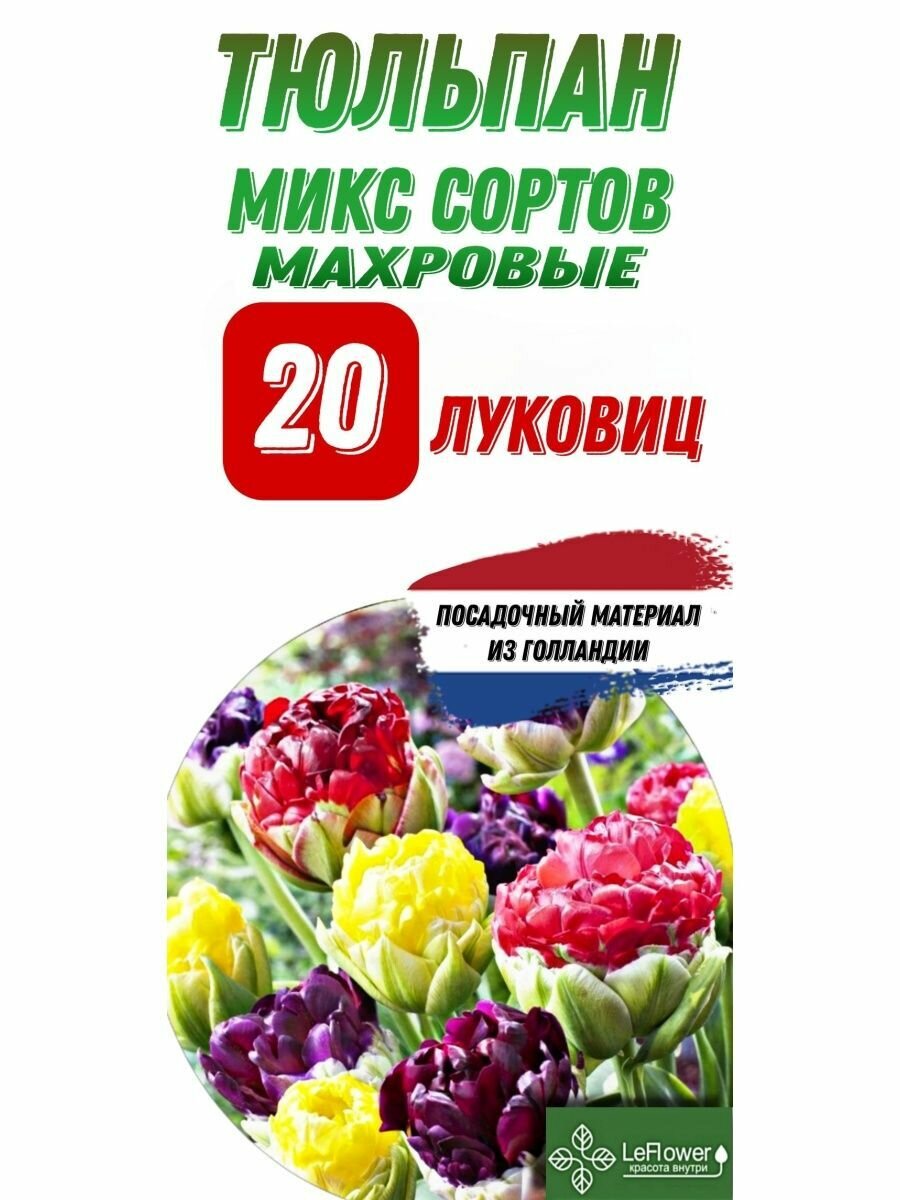 Тюльпан Луковица, Микс махровых сортов, 20шт (LeFlower)
