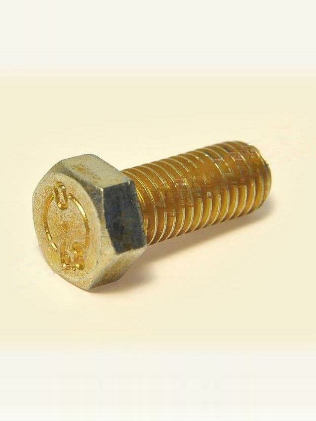 Болт М10*25*1,5 третьей опоры Волга 2410,3102,31029,3105,3110, 201497-П29