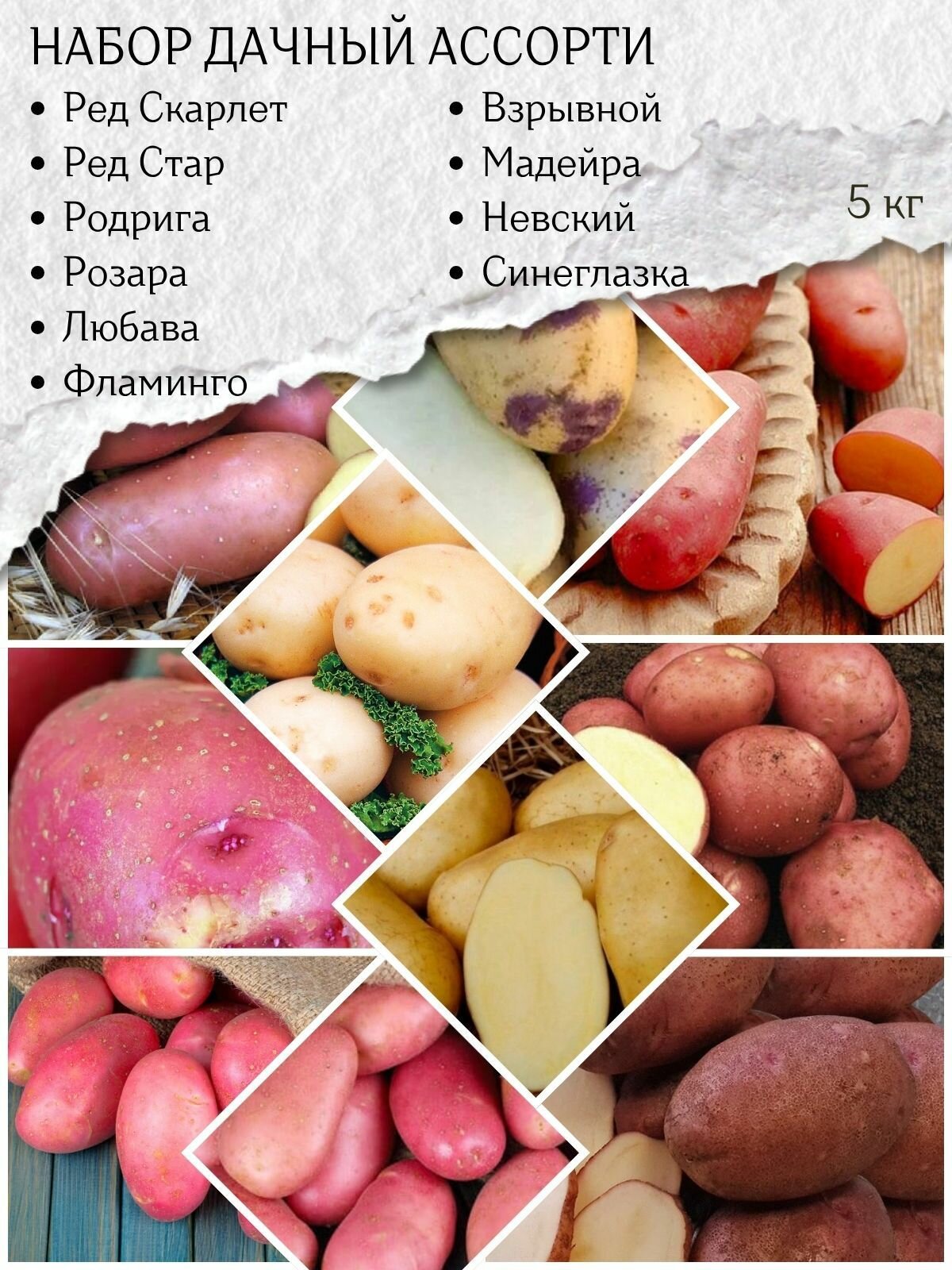 Набор катофеля из 10 сортов "Дачный ассорти" (белый, красный, фиолетовый)