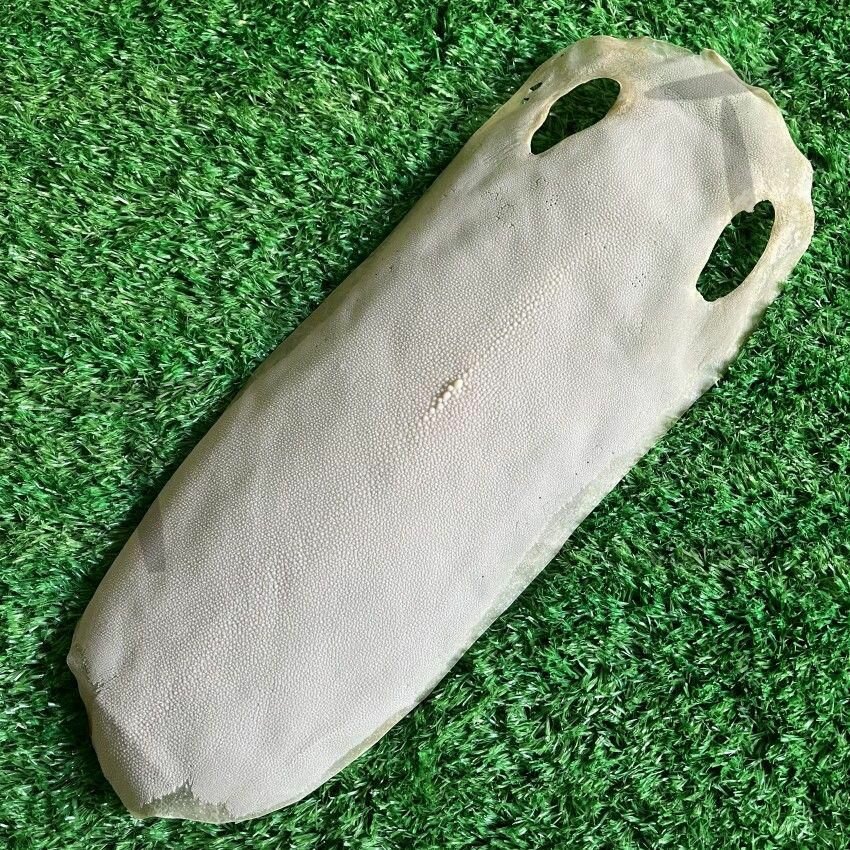 Сухая твердая кожа скатаOU