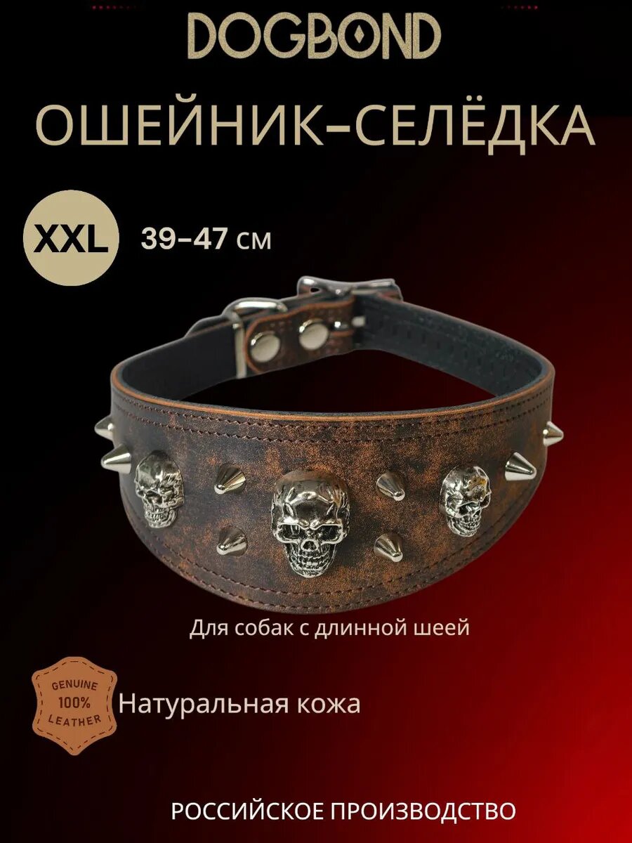 Dogbond ошейник-селедка для грейхаундов и борзых собак