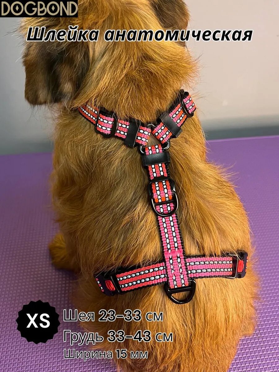 Шлейка Dogbond анатомическая из стропы для собак