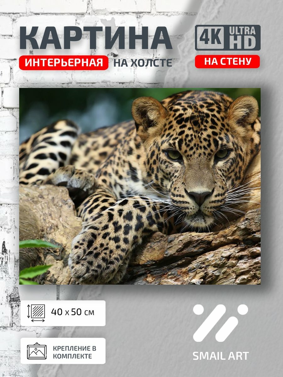 Картина на холсте интерьерная 40 на 50 на стену Ягуар jaguar для спальни пейзаж интерьер