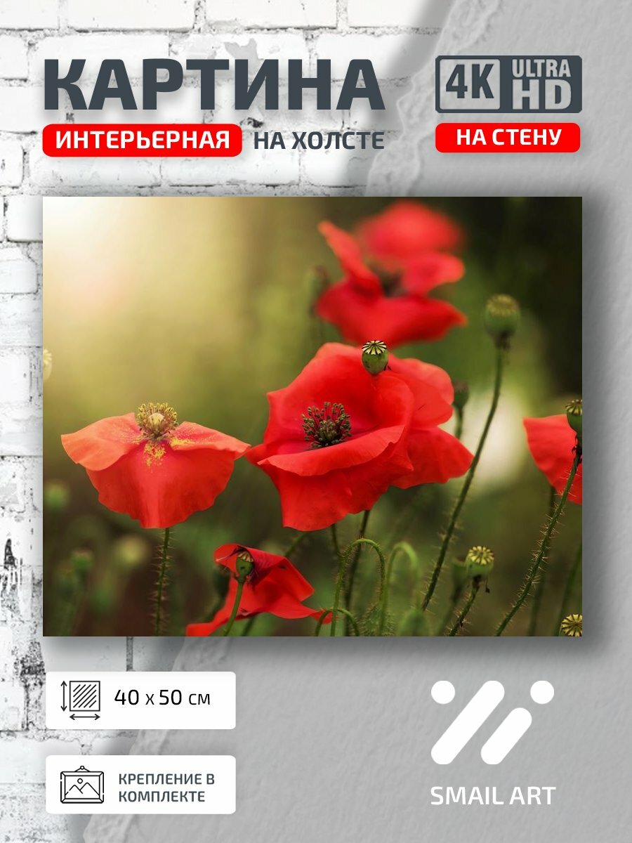 Картина на холсте интерьерная 40 на 50 на стену Поляна Landscape для кабинета пейзаж декор