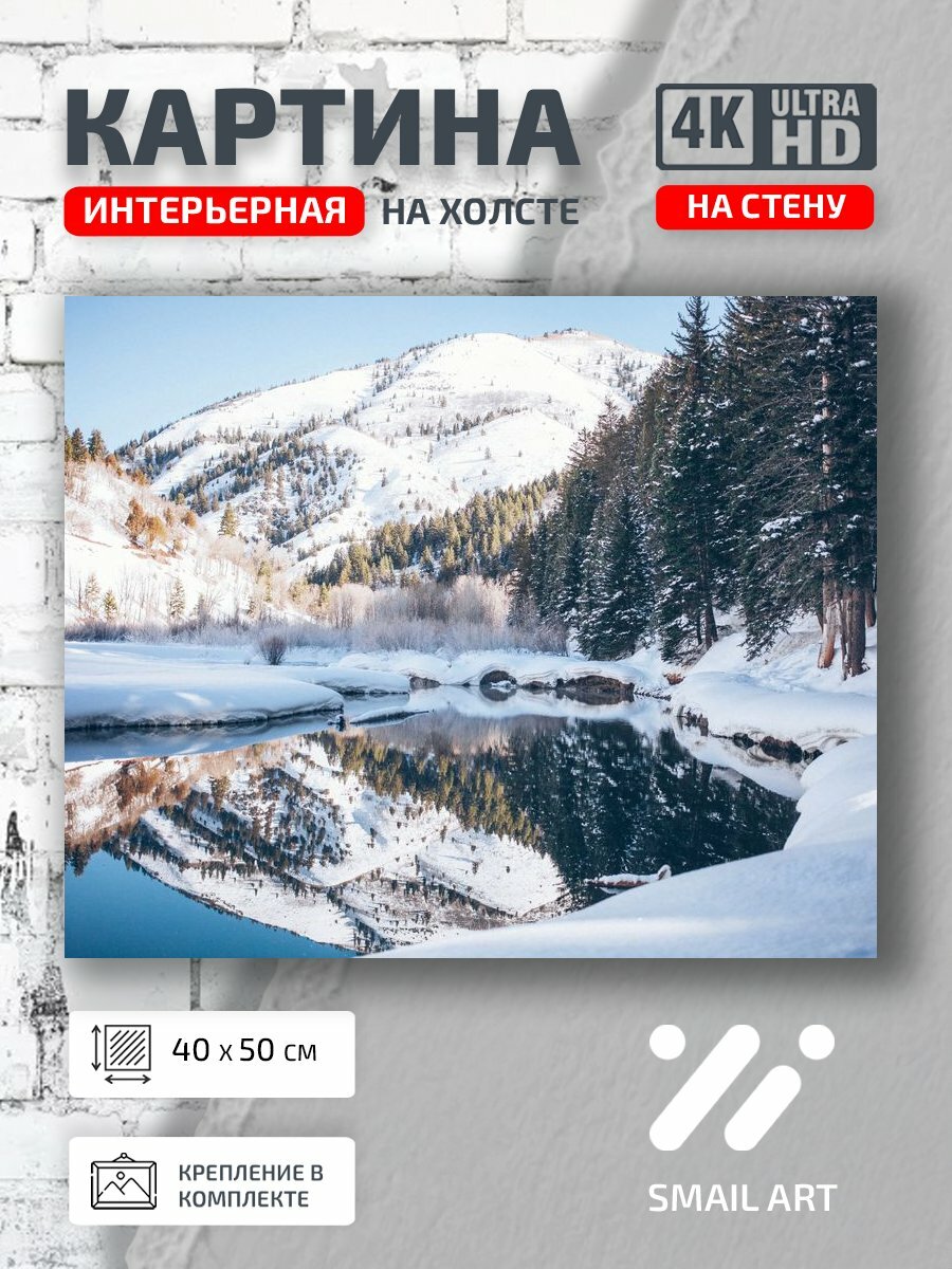 Картина на холсте интерьерная 40 на 50 на стену Снег Landscape для спальни пейзаж интерьер