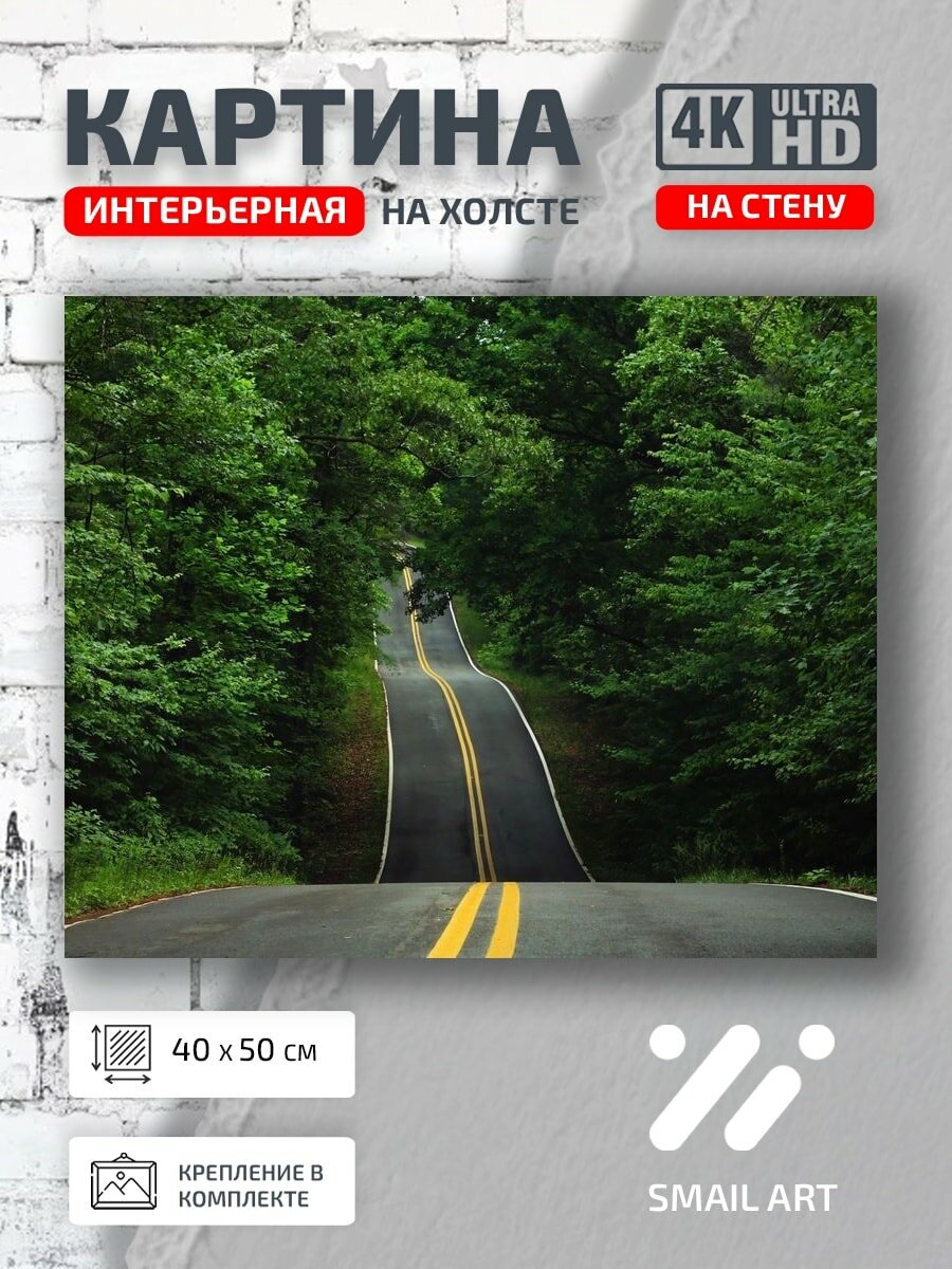 Картина на холсте интерьерная 40 на 50 на стену Природа Дорога для спальни пейзаж