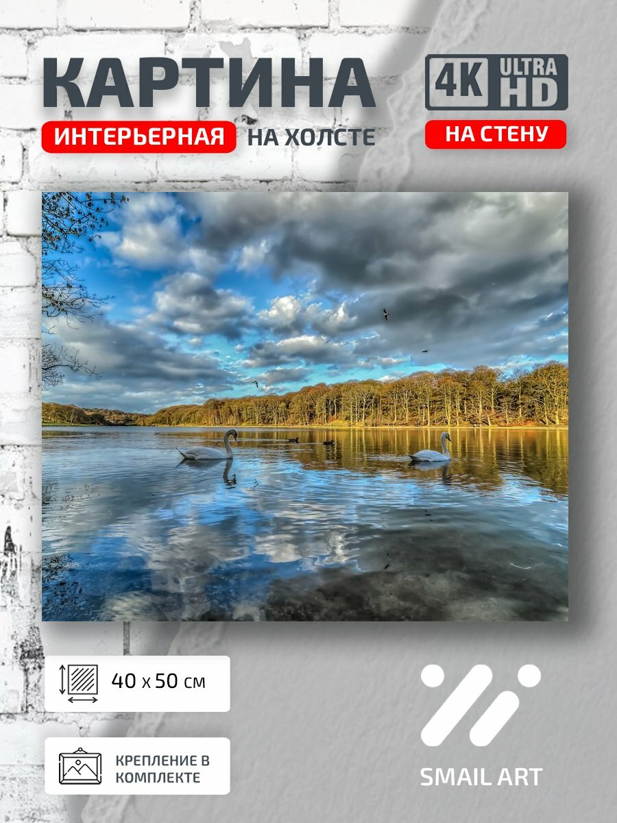 Картина на холсте интерьерная 40 на 50 на стену Лебедь Landscape для спальни пейзаж декор