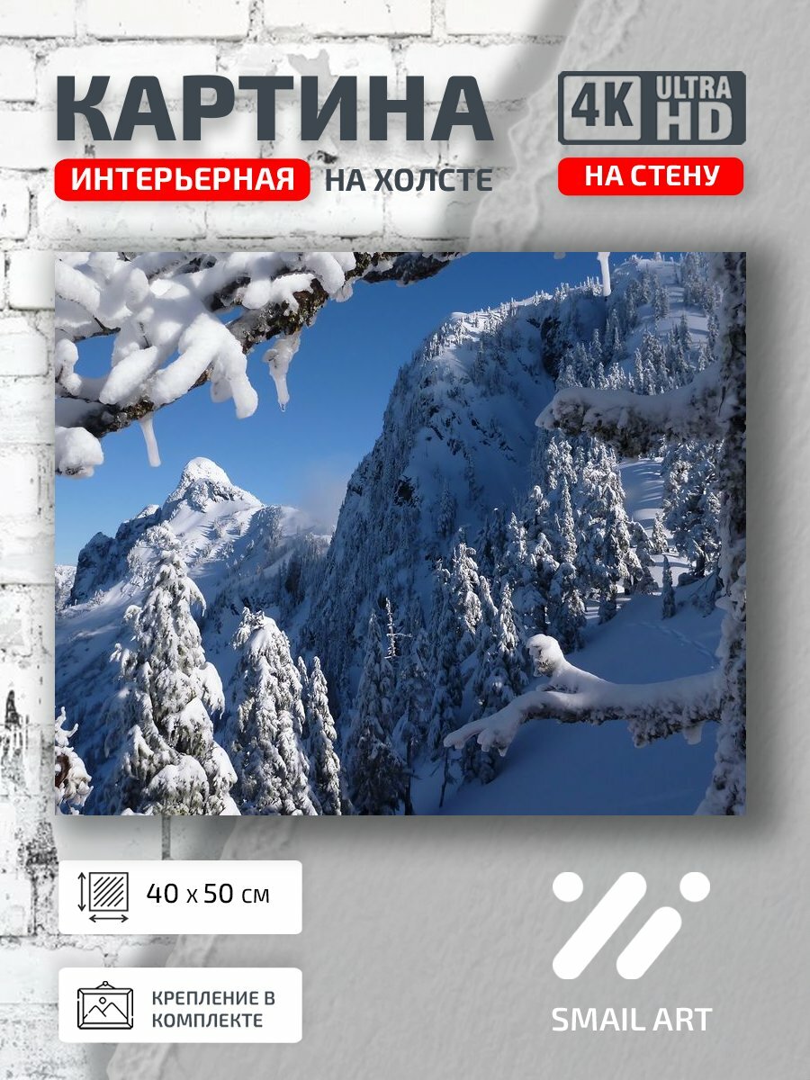 Картина на холсте интерьерная 40 на 50 на стену Зима mountains для офиса пейзаж интерьер