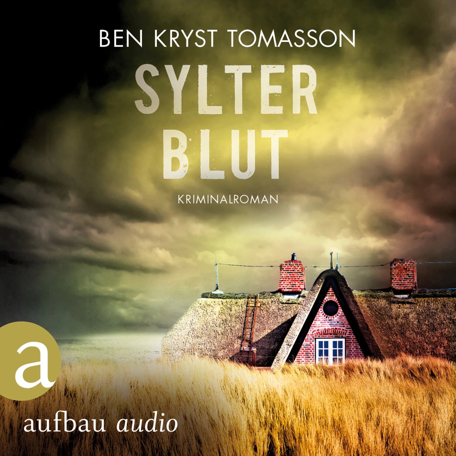 Sylter Blut - Kari Blom ermittelt undercover, Band 3 (Ungekürzt) [Аудиокнига]