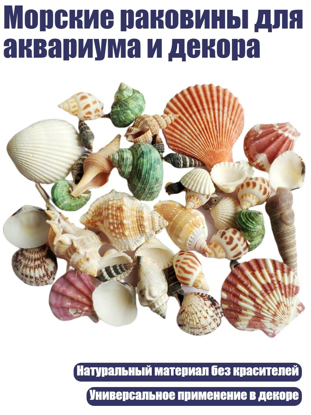Морские раковины для аквариума и декора