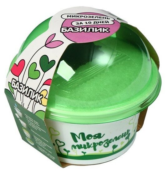 Набор для выращивания "Моя микрозелень" , базилик