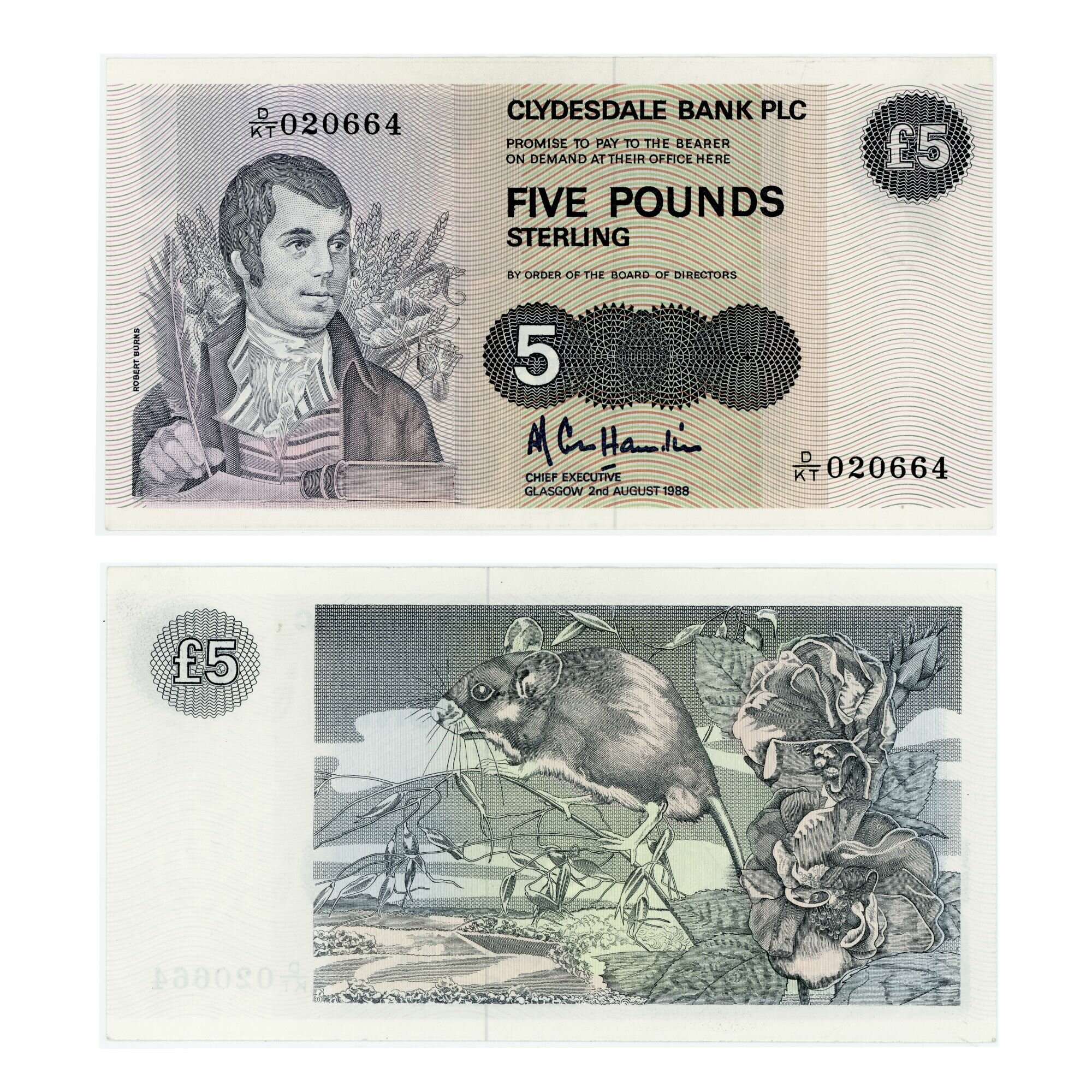 Банкнота Шотландия 5 фунтов FIVE POUNDS 1988 год Extremely Fine (XF) Pick 212