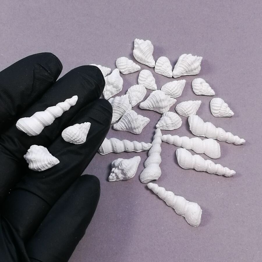 Декор для интерьера "Морской набор - ракушки" (микс), 1.4-3см, 20шт.